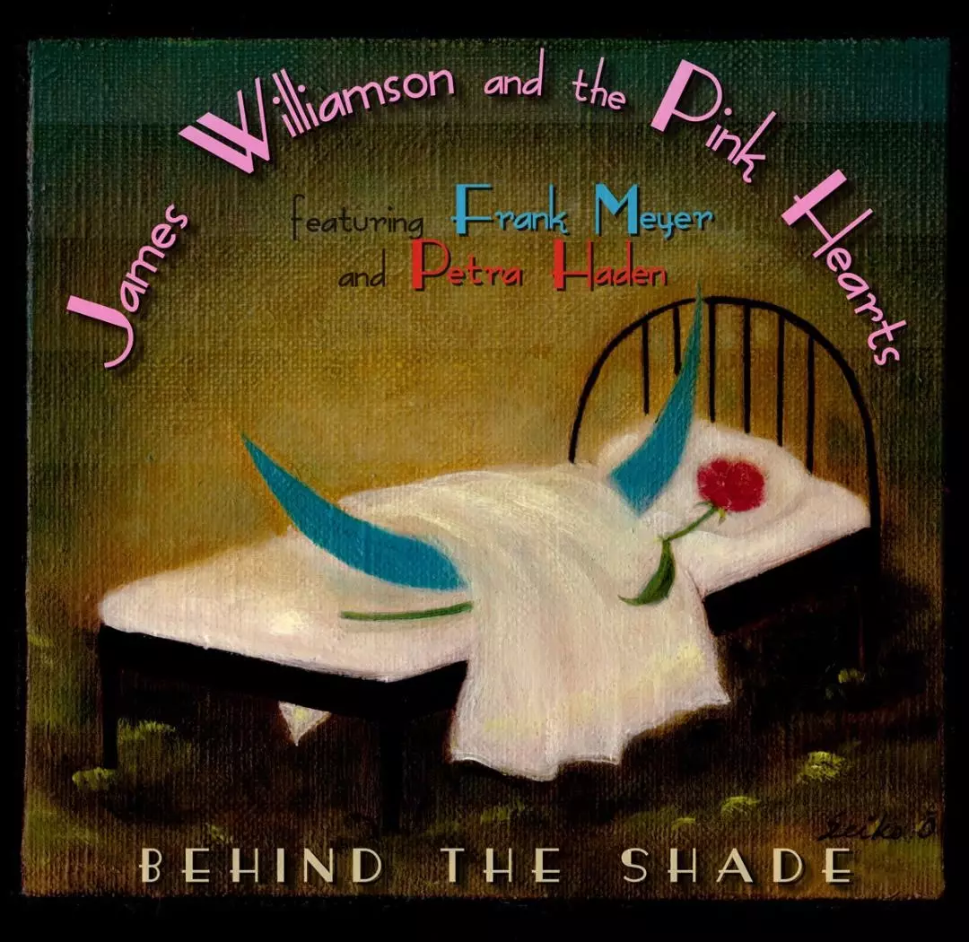 Ex-Stooges Gittarist James Williamson annoncéiert neie Solo Album, 'Behind the Shade' 13448_2